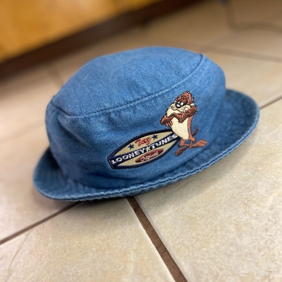 Warner Bros. | Accessories | Vintage Taz Looney Tunes Bucket Hat | Poshmark